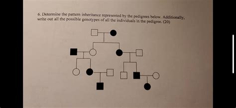Solved 6 Determine The Pattern Inheritance Represented By