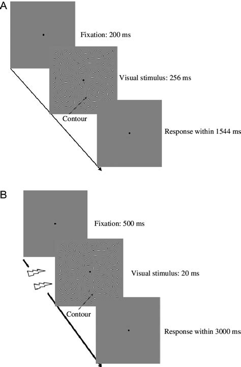 Experimental Procedures A An Example Trial Of The Contour Detection Download Scientific