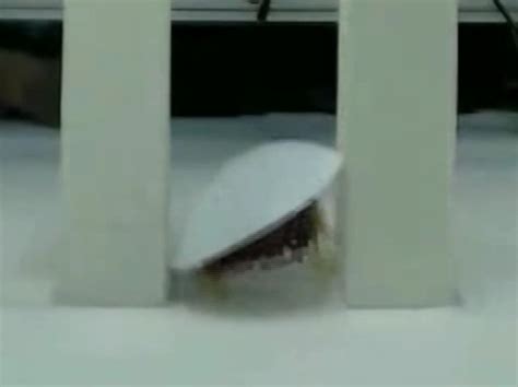 Cockroach Inspired Robot Can Navigate Cluttered Environs Technology News