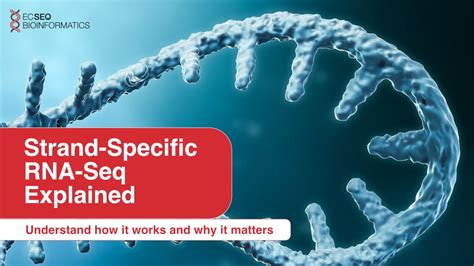 Ecseq Bioinformatics Gmbh On Linkedin Ngs Bioinformatics Strandspecific Rnaseq Sequencing