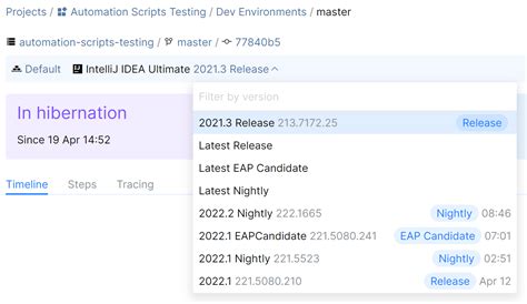 Manage Dev Environments Jetbrains Space Documentation