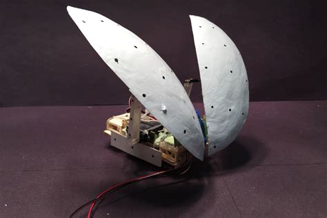 Cockroach Robot Rights Itself By Flapping Its Wings Digital Trends