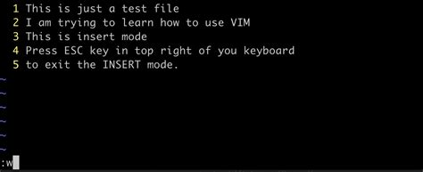 Introduction To Vim Sre の学び舎 Linkedin School Of Sre 日本語翻訳