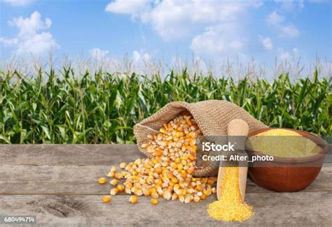 Biji Jagung Dan Jagung Di Atas Meja Foto Stok Unduh Gambar Sekarang