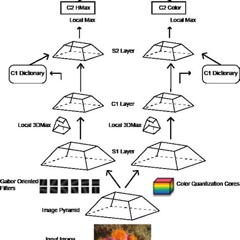 integration of cq hmax with hmax model jalali et al 2013 [44