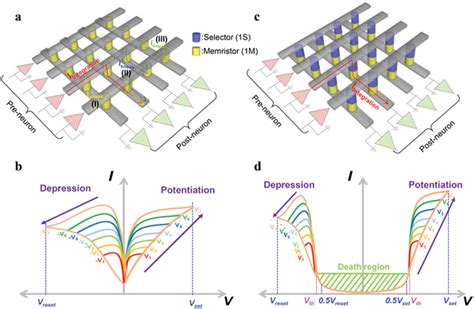 Schematic Of The Cross‐point Synaptic Memristor Array For 1m And 1s1m