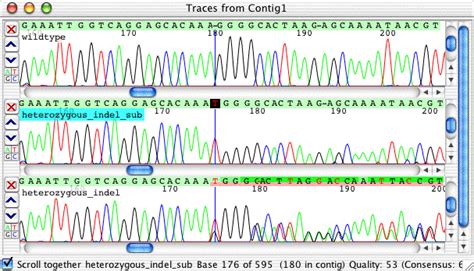 Quick Tour Analyzing Heterozygous Indels