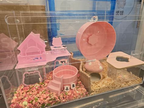 탬펫 서울강남점 Feat 달려라나나 핑크핑크♡ 핑테리어 Instagram