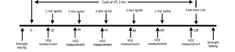 Experimental Protocol Timeline Download Scientific Diagram
