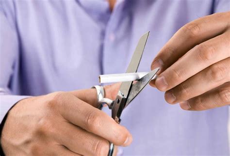 Качество спермы