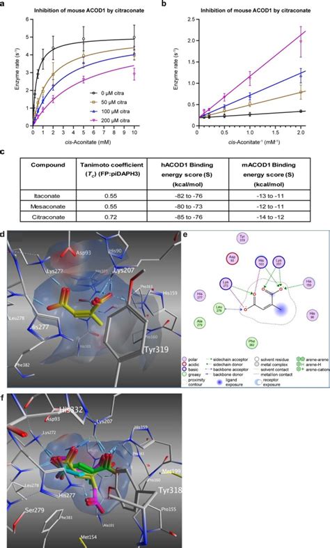 Citraconate Inhibits Acod1 Irg1 Catalysis Reduces Interferon Responses And Oxidative Stress