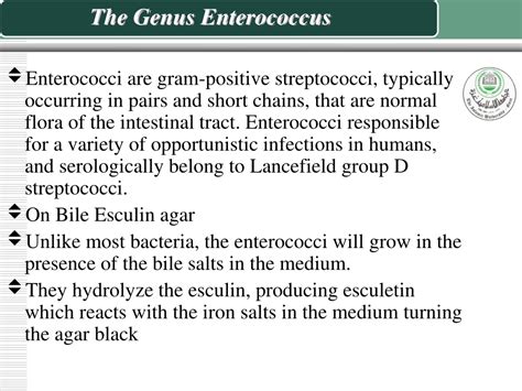 Ppt Identification Methods For Gram Positive Cocci Staphylococci