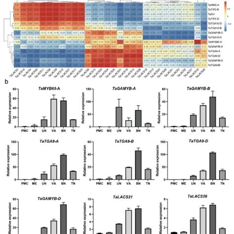 Expression Correlation Analysis Among Talacs Genes And Transcription