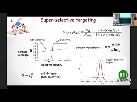 Free Video Multivalent Binding And Selectivity In Molecular Targeting
