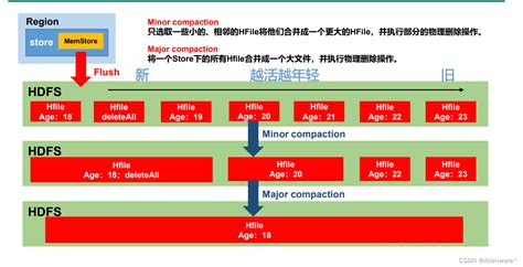 hbase2 x（十二）hbase 文件合并机制 hbase合并机制 csdn博客