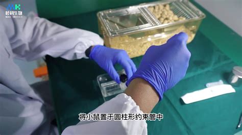 实验视频 小鼠尾静脉注射细节 知乎