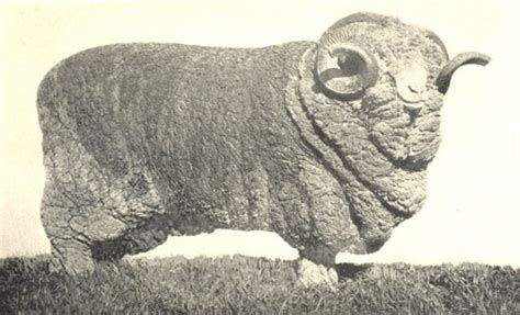 A Sense Of Place Deniliquin U3a Benalla