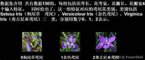 python 深度学习基础 人工神经网络实现鸢尾花分类 五 阿里云开发者社区