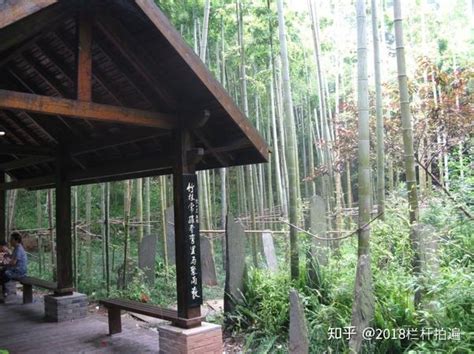 德阳东湖山公园 知乎