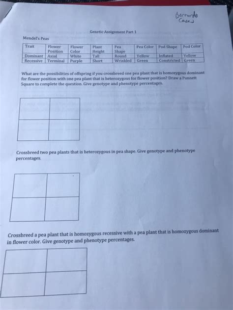 Solved Genetic Assignment Part 1 Mendel S Peas Plant Pea Pea Chegg Com
