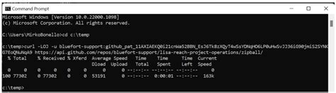 How To Deploy Lisa Reach Operations In Microsoft Dynamics 365 Project Operations Bluefort Learn
