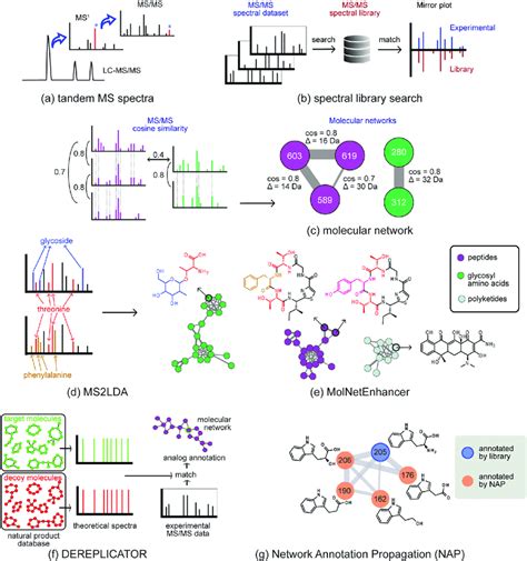 Molecular Networking Technologies To Chart Metabolic Diversity A In Download Scientific