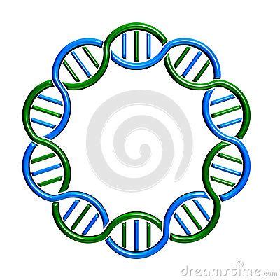 DNA Circle Strand Loop Dna Circle Stock Illustration