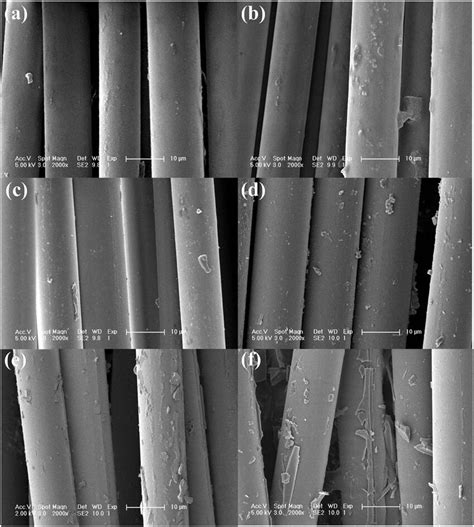 Sem Micrographs Of A U Bf B C Bf C K05 Bf D K10 Bf E Download Scientific