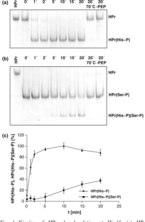 Figure 1 From Dual Phosphorylation Of Mycoplasma Pneumoniae Hpr By Enzyme I And Hpr Kinase
