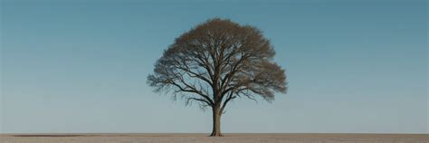 standalone ความหมาย ตวอยางในภาษาองกฤษ JMarian