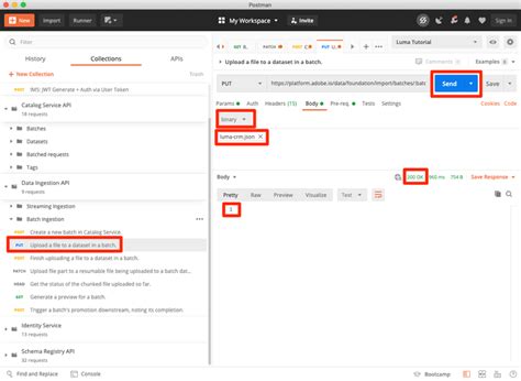 ingest batch data adobe experience platform