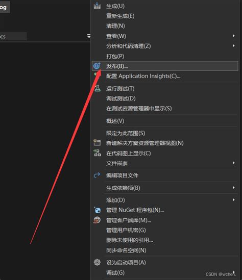 linux 使用宝塔部署6项目 宝塔 安装net csdn博客