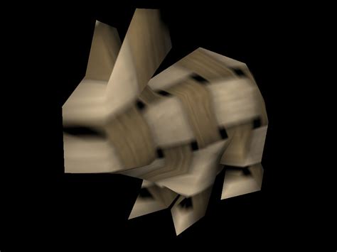 Programming Sarah Wang