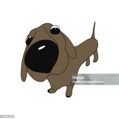 귀여운 순종 닥스훈트 강아지의 만화 벡터 그림 흰색 배경에 격리 만화 스타일 갈색에 대한 스톡 벡터 아트 및 기타 이미지