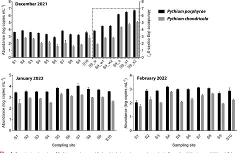 Figure 4 From Quantitative Detection Of Pythium Porphyrae And Pythium Chondricola Oomycota