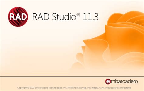 Delphi 11 Celebrating Delphis 30th Anniversary