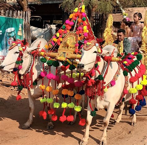 ဗညာဟန် ဗညားဟန် အကြိုက်ဆုံးတေးများ By ရာမည မွန် မြန်မာ သီချင်းများ Facebook