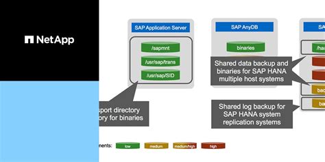 Azure NetApp Files The Best Fit For Your SAP Shared Files NetApp Blog