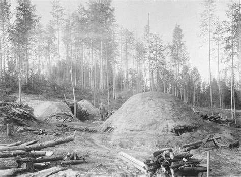 Mikäli Ja Sikäli Kotus