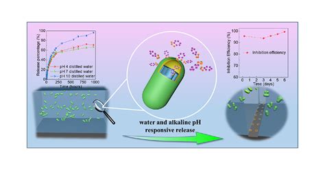 Designing Smart Microcapsules With Natural Polyelectrolytes To Improve Self Healing Performance