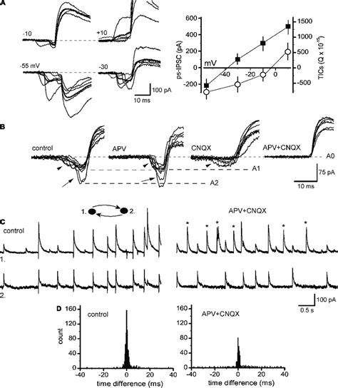 Glutamate Dependent Post Stimulus Sipscs A Ticsps Ipscs Sequences