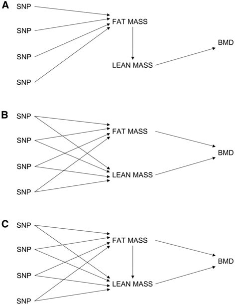 Directed Acyclic Graphs Illustrating Three Scenarios That Potentially Download Scientific