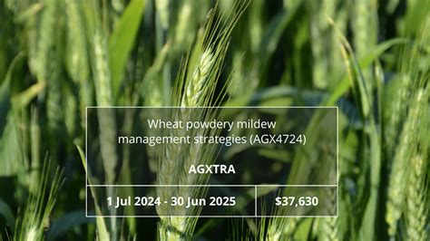 Wheat Powdery Mildew Management Strategies Agx4724 Sagit