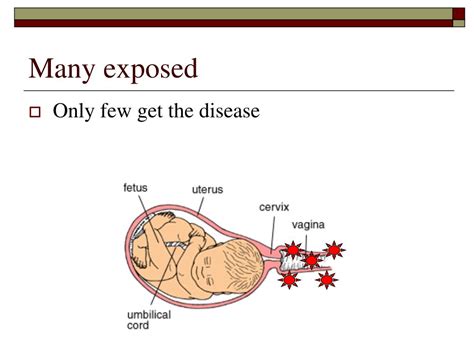 Ppt Understanding And Curing Rrp A Genetic Undertaking Powerpoint Presentation Id 477477