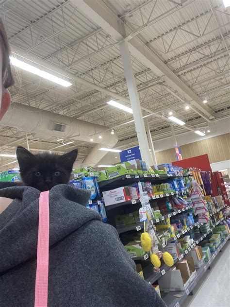 Watch Aunt Cass Bandj Redmoa Aunt Cass Anime Porn Rstorage2