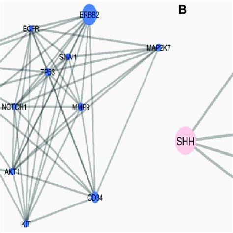 Gene Expression Analysis Of 18 Genes Of High Ranked Cluster The Download Scientific Diagram