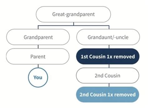 Understanding Some Genealogy Basics From In Here A New Perspective