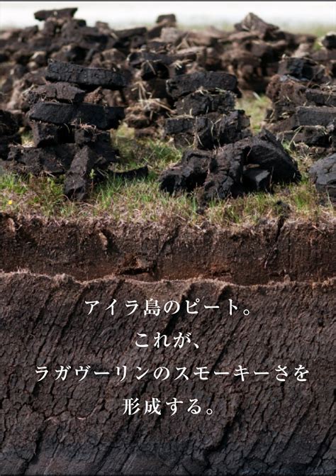 ウイスキーの人気銘柄の味を解説プレゼントにもおすすめ 選