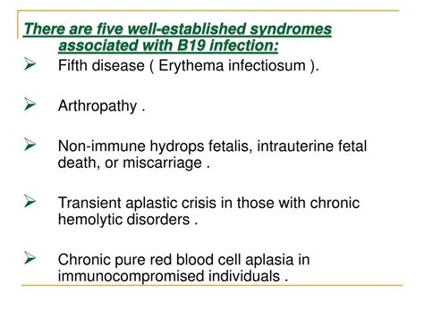 Ppt Human Parvovirus B19 Infection Powerpoint Presentation Id759778