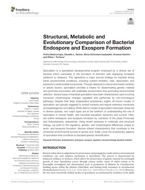 Pdf Structural Metabolic And Evolutionary Comparison Of Bacterial